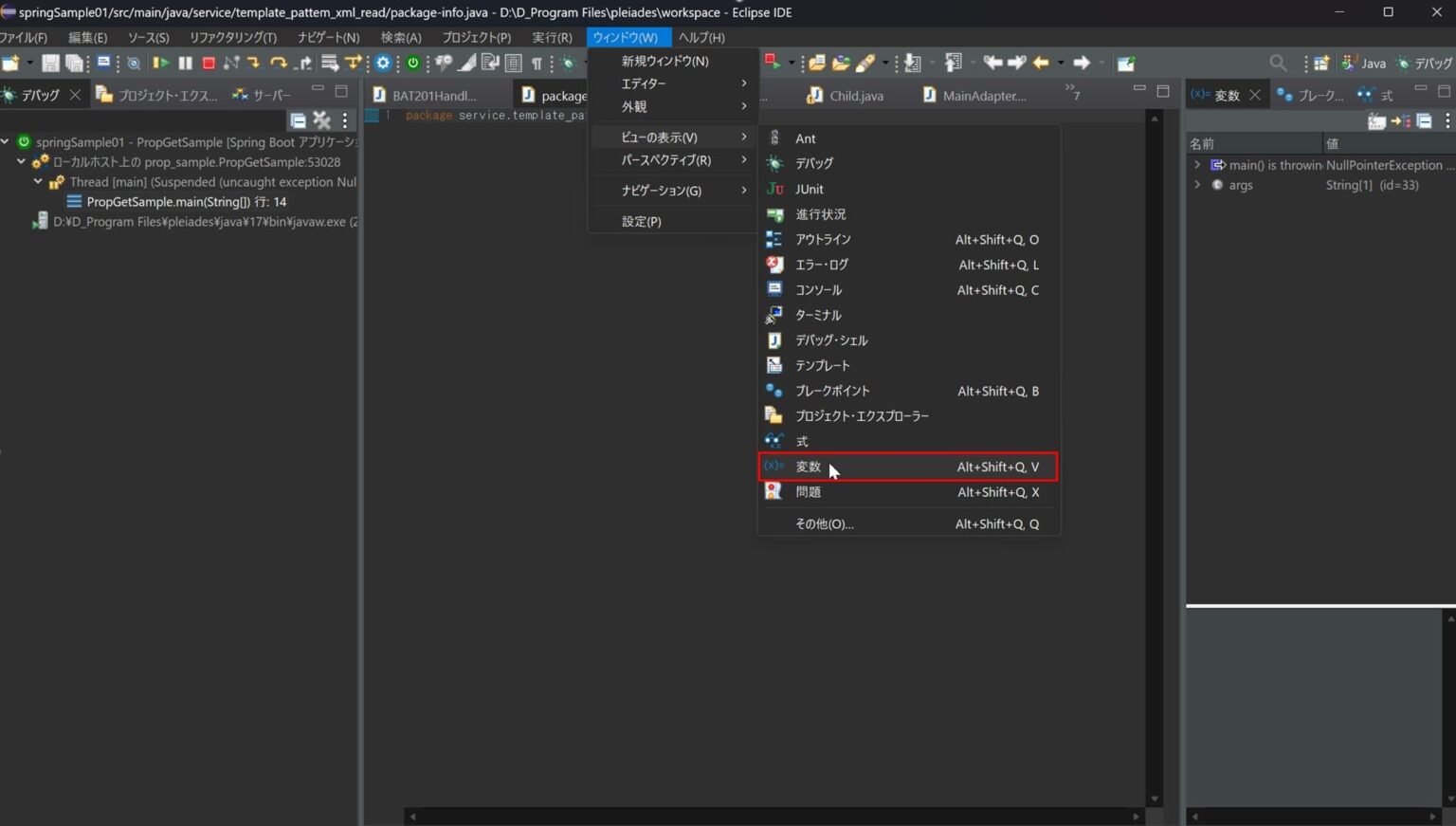 Java Eclipse環境でデバッグで変数ビューを表示する方法 Java Linux Master